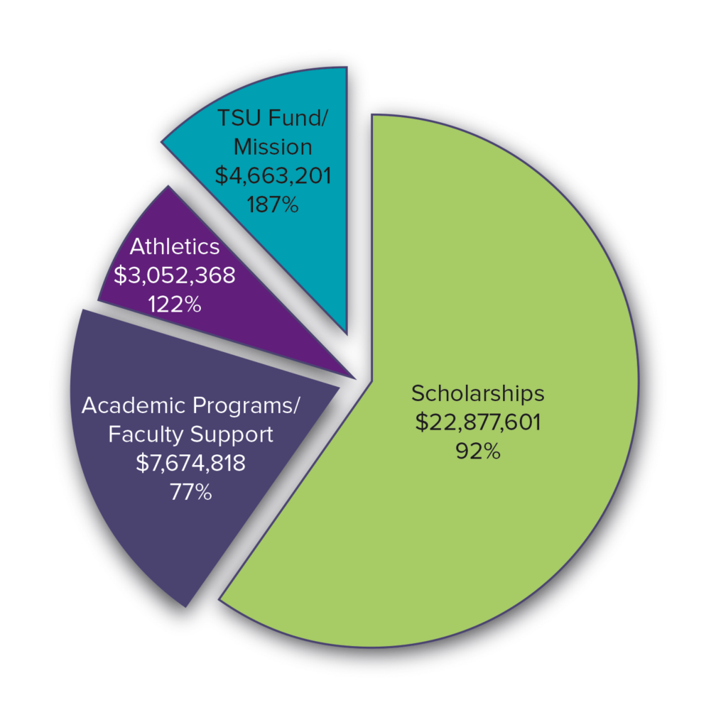 Campaign-Pie-Chart - Pursue the Future Campaign